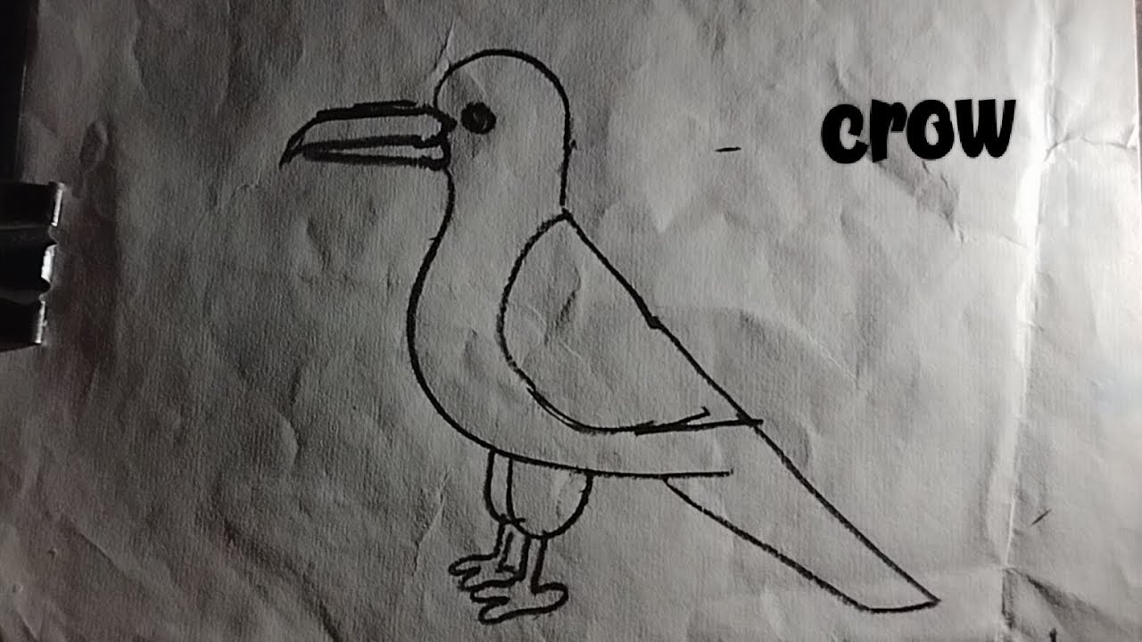 How to draw a crow 🐦‍⬛🐦‍⬛ drawing easy step by @_Yashtiwari_art.tricks ...
