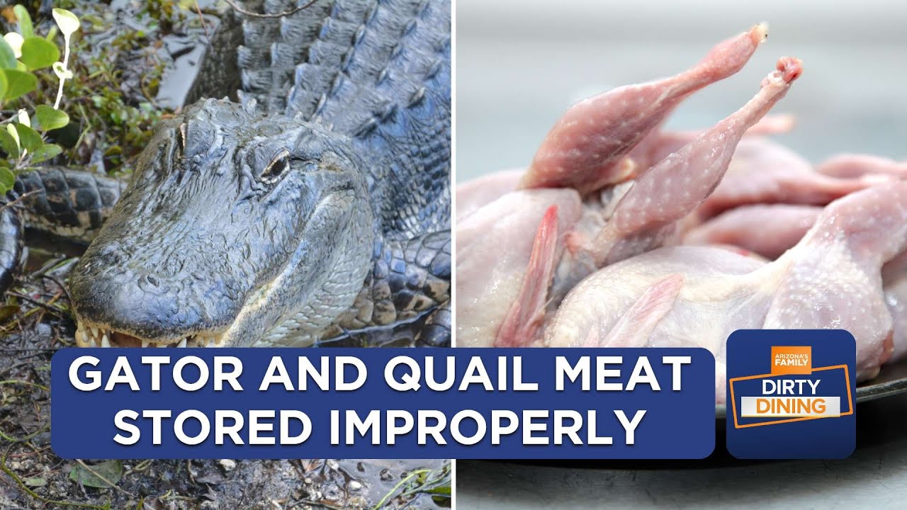 Raw quail stored above alligator meat found at Phoenix-area restaurant ...