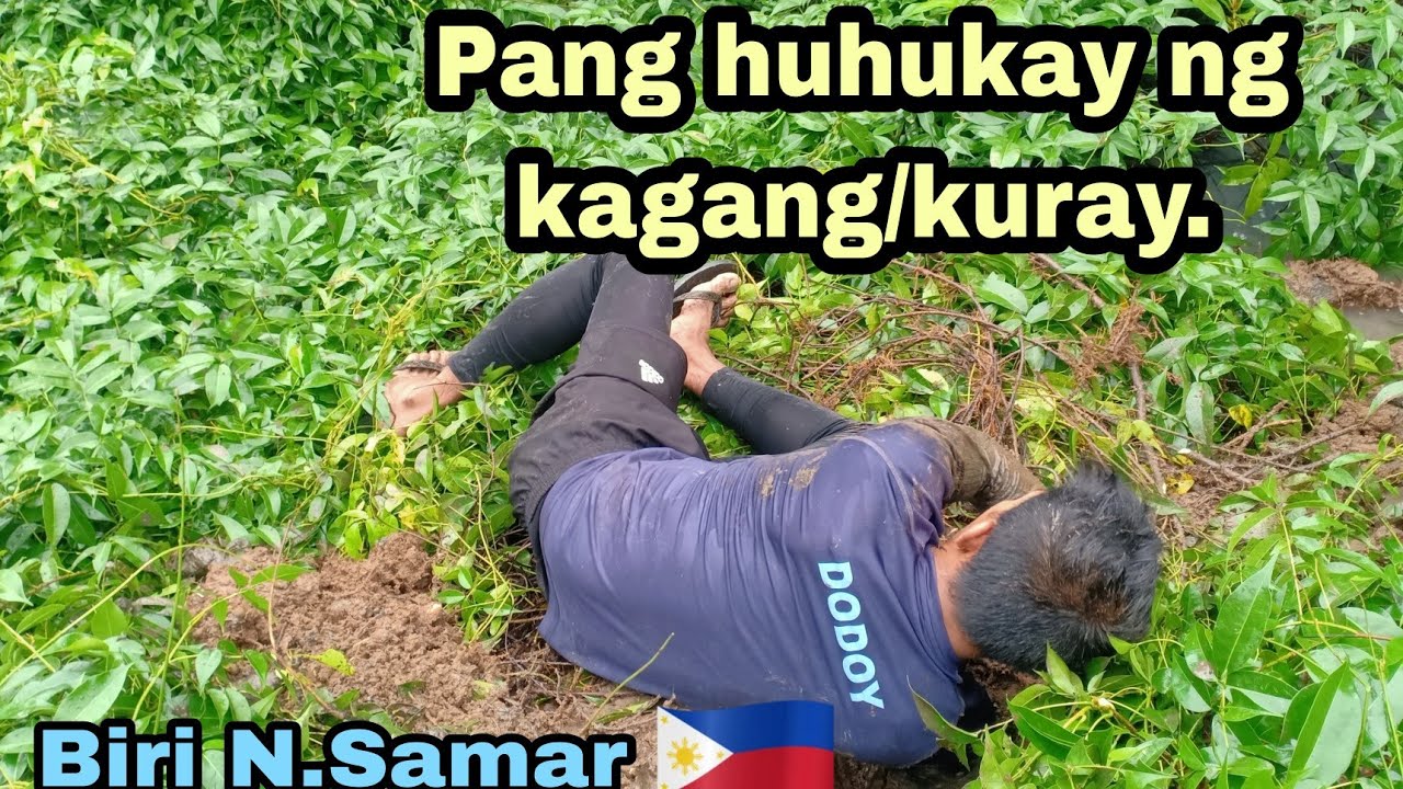 EPS 20: Catching land crab/kagang or kuray,With barehands. - YouTube