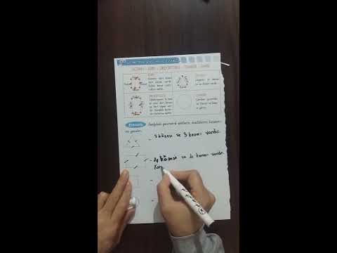 DENİZ BORAN'LA DERS ZAMANI