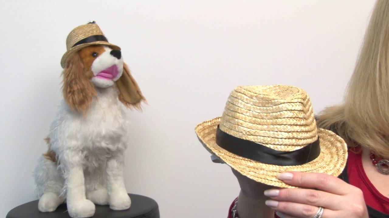Fedora Dog Hat with Feathers - YouTube