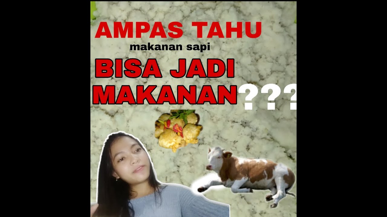 MAKANAN SAPI BISA JADI MAKANAN MANUSIA//AMPAS TAHU//RANJEM - YouTube