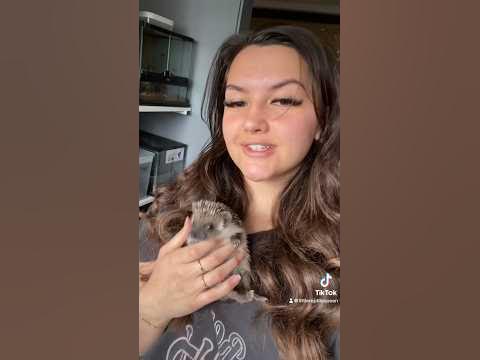 HAPPY SUNDAY FUNDAY! Pack for 3 reptile shows with me! #education #reptiles #animals #show # ...