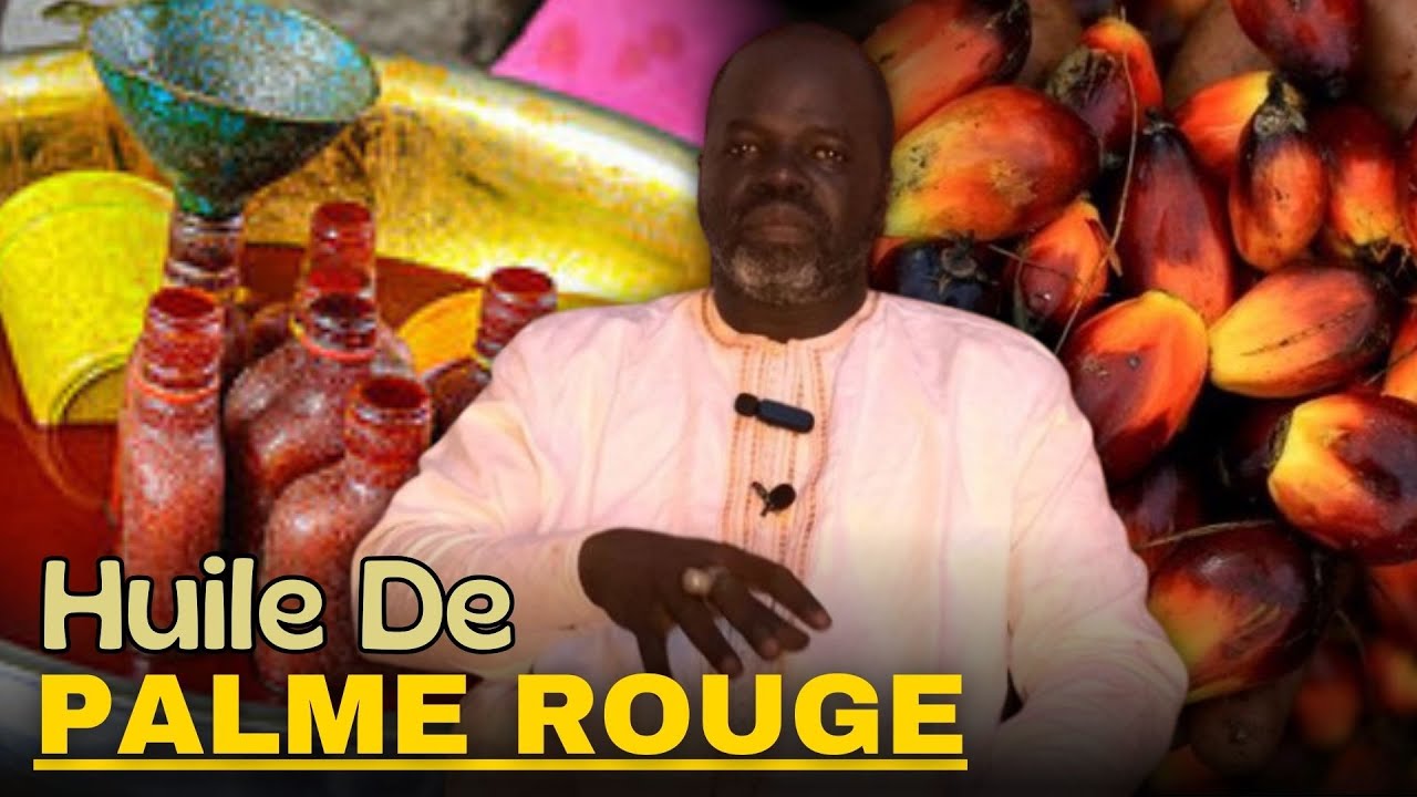 Bienfaits Huile De Palme Rouge ( Diwe Tiir ) - Pr Ousmane Ndiaye ...