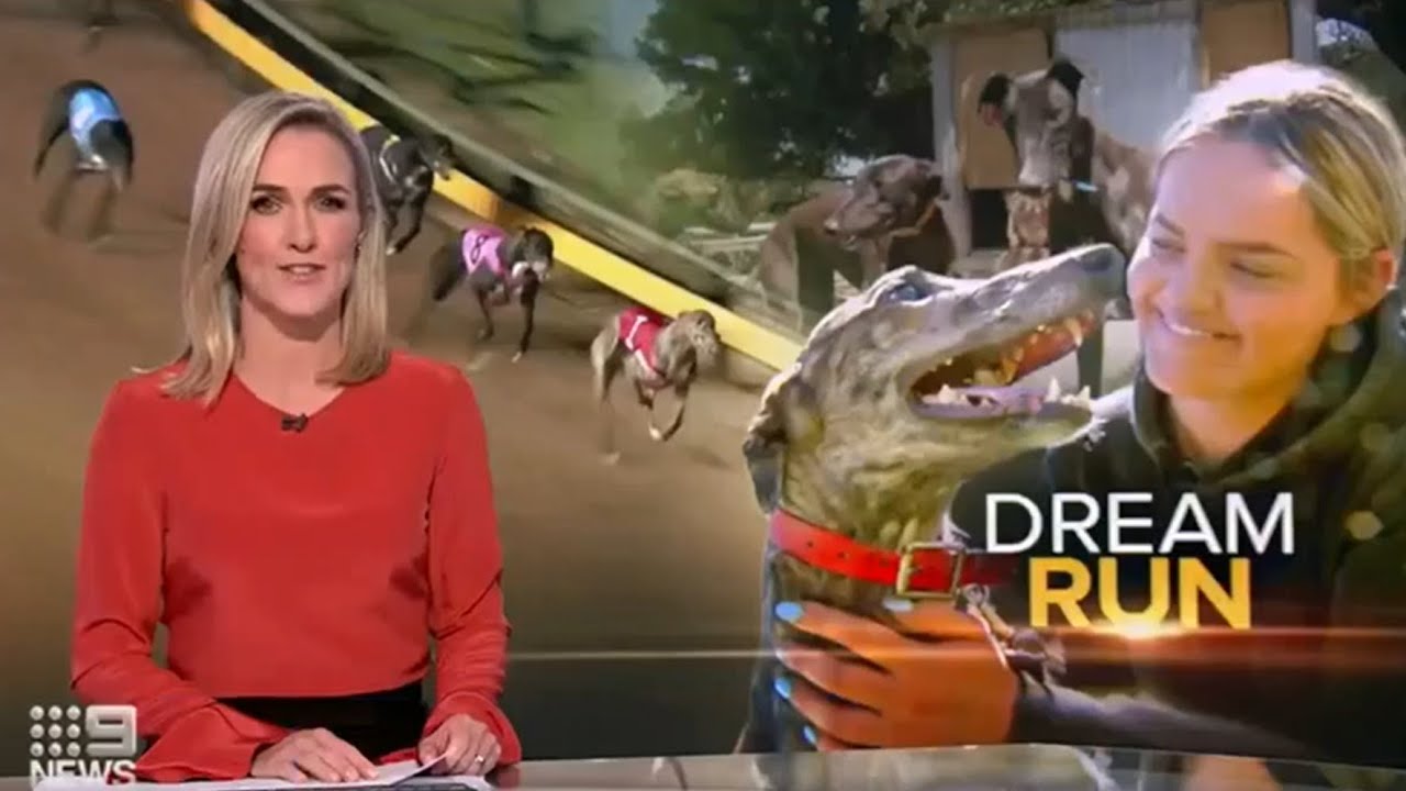 Dream Run - Kayla Cottrell on 9 News Melbourne - YouTube