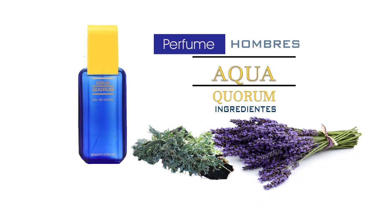 Aqua Quorum por Antonio Puig perfume para Hombres - YouTube