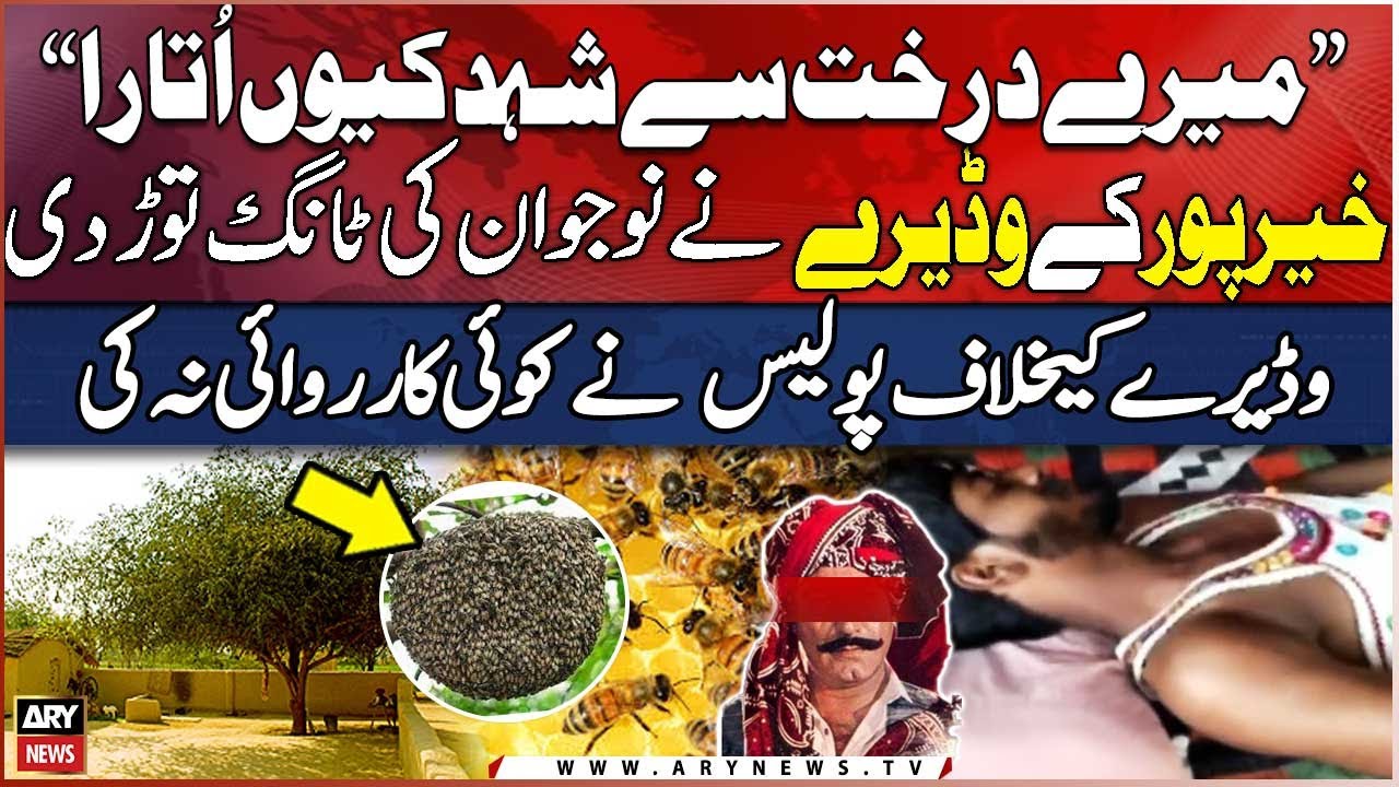 "Mere Darakht se 'Shehed' kiun utara" - Waderay ne naujawan ki tang tor ...