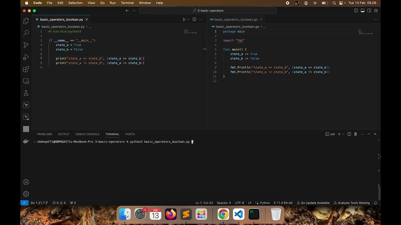 Python to Go Tutorial (Part 3.c.) - Operator Comparison Boolean - YouTube