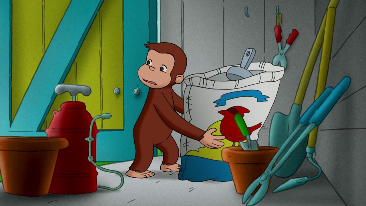 For The Birds 🐵Curious George 🐵Videos for Kids - YouTube