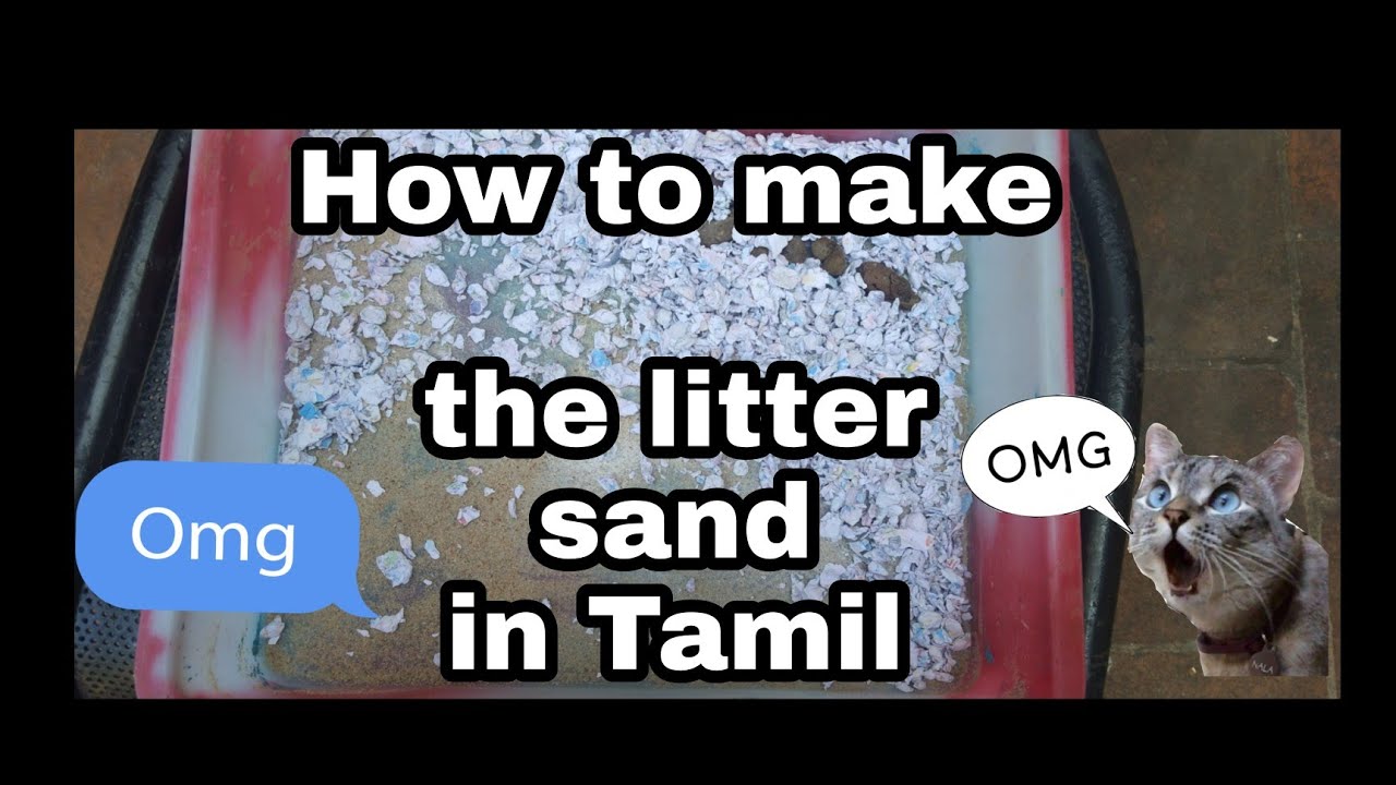 How To MAKE The LITTER SAND FIRST IN TAMIL BUJI The CAT YouTube