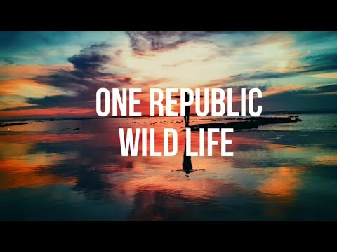 One Republic - Wild Life (Lyrics Video) - YouTube