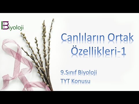 9.sınıf | biyoloji | canlıların ortak özellikleri | ders notları 1