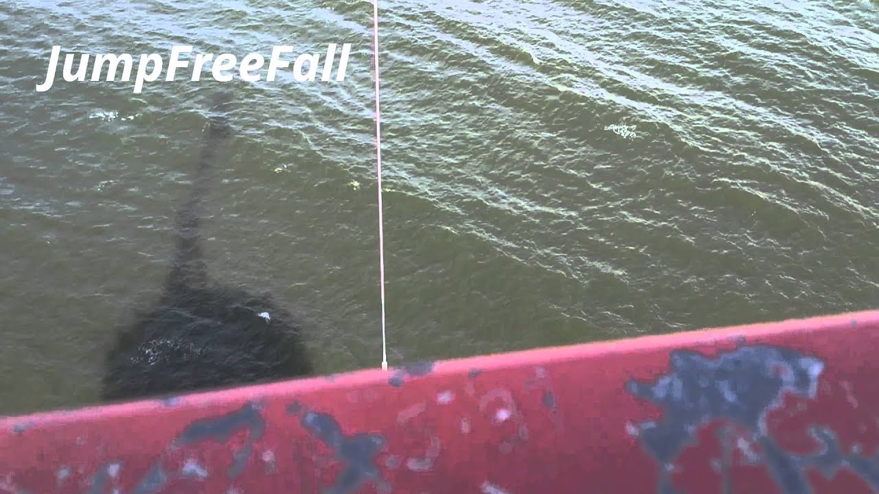 Bungee Jump Free Fall - YouTube