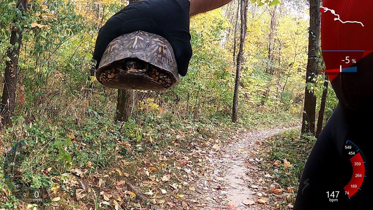 Kickapoo State Rec. Area Mountain Bike Trail 2 MTB - YouTube