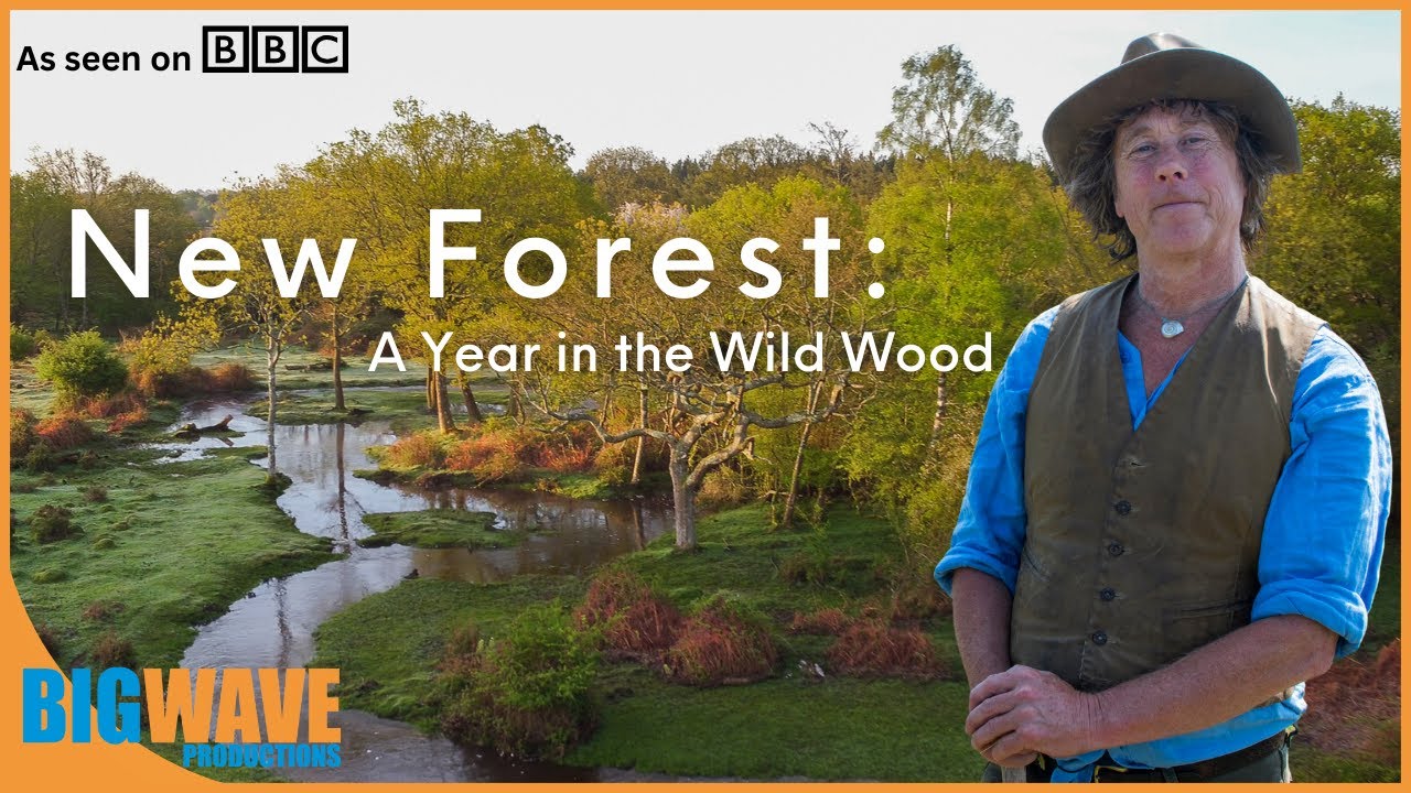 New Forest: A Year in the Wild Wood (BBC Documentary) - YouTube
