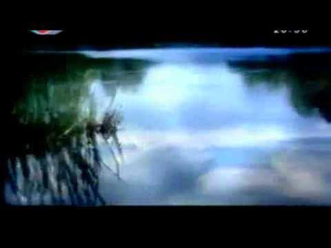 Seyhan LEVENT Akşama Doğru