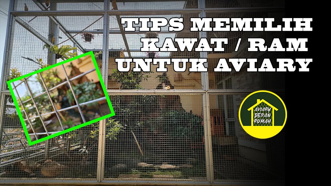 Tips Memilih Kawat/Ram untuk Aviary - Aviary Depan Rumah - YouTube