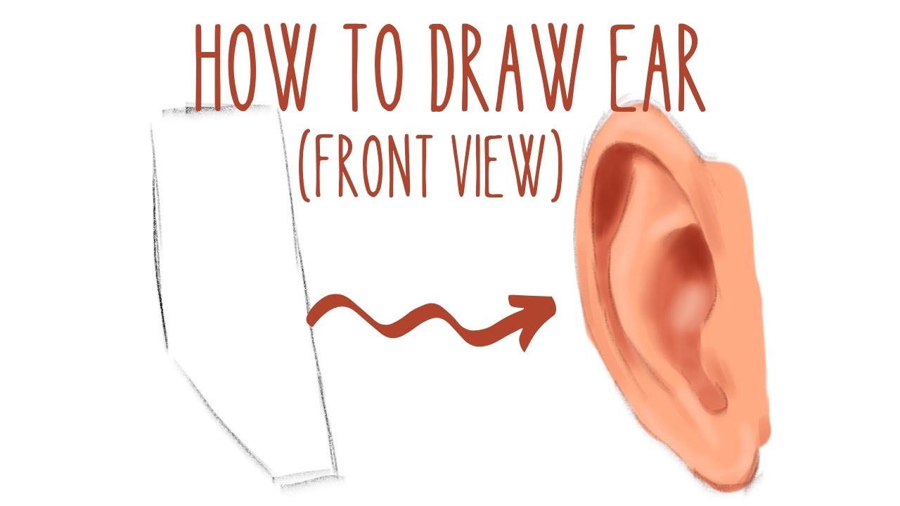 How to draw an EAR for BEGINNERS | EASY Tutorial - YouTube