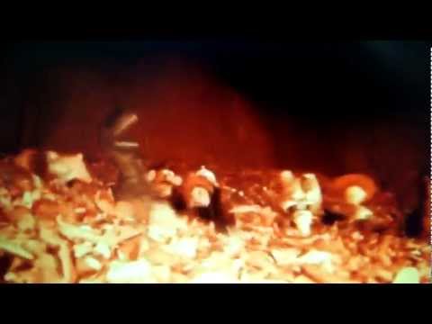 Toy Story 3 Sad Scene