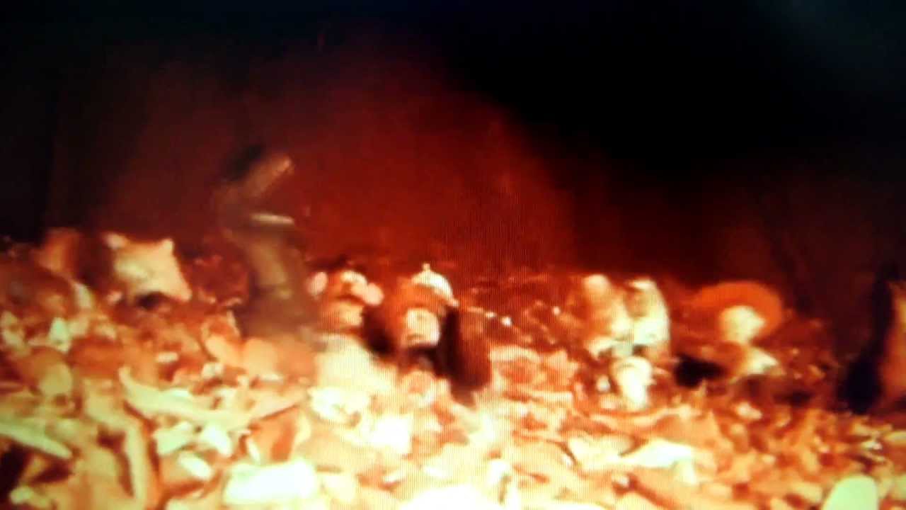 Toy Story 3 Sad Scene - YouTube