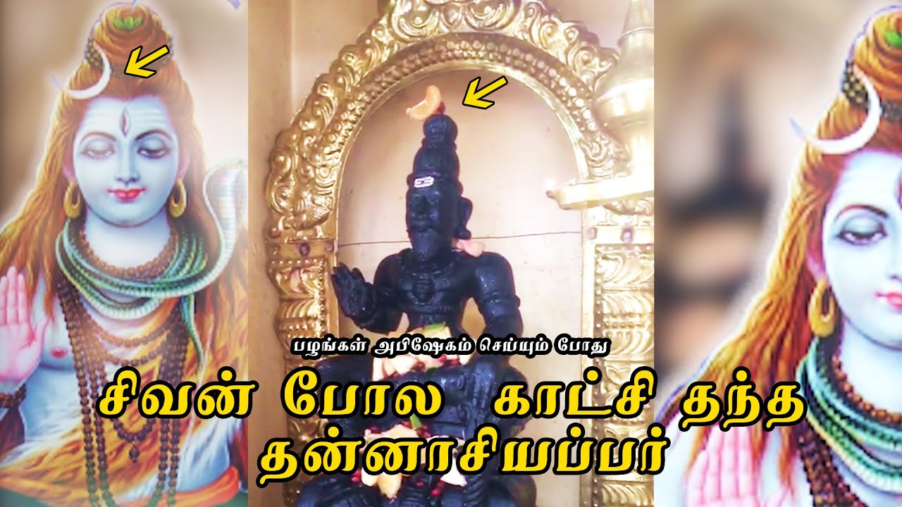 சிவன் போல காட்சி தந்த தன்னாசியப்பர் | Sivan Pola Kaatchi thantha ...