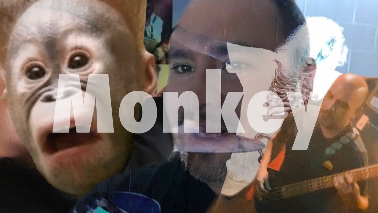 Monkey Fool (Official Video) #officialhdvideo #officialmusic #newmusic ...