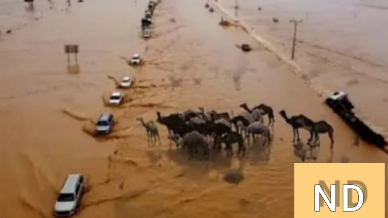 💧Floods in Saudi Arabia, water in the desert is a miracle! Frightening ...