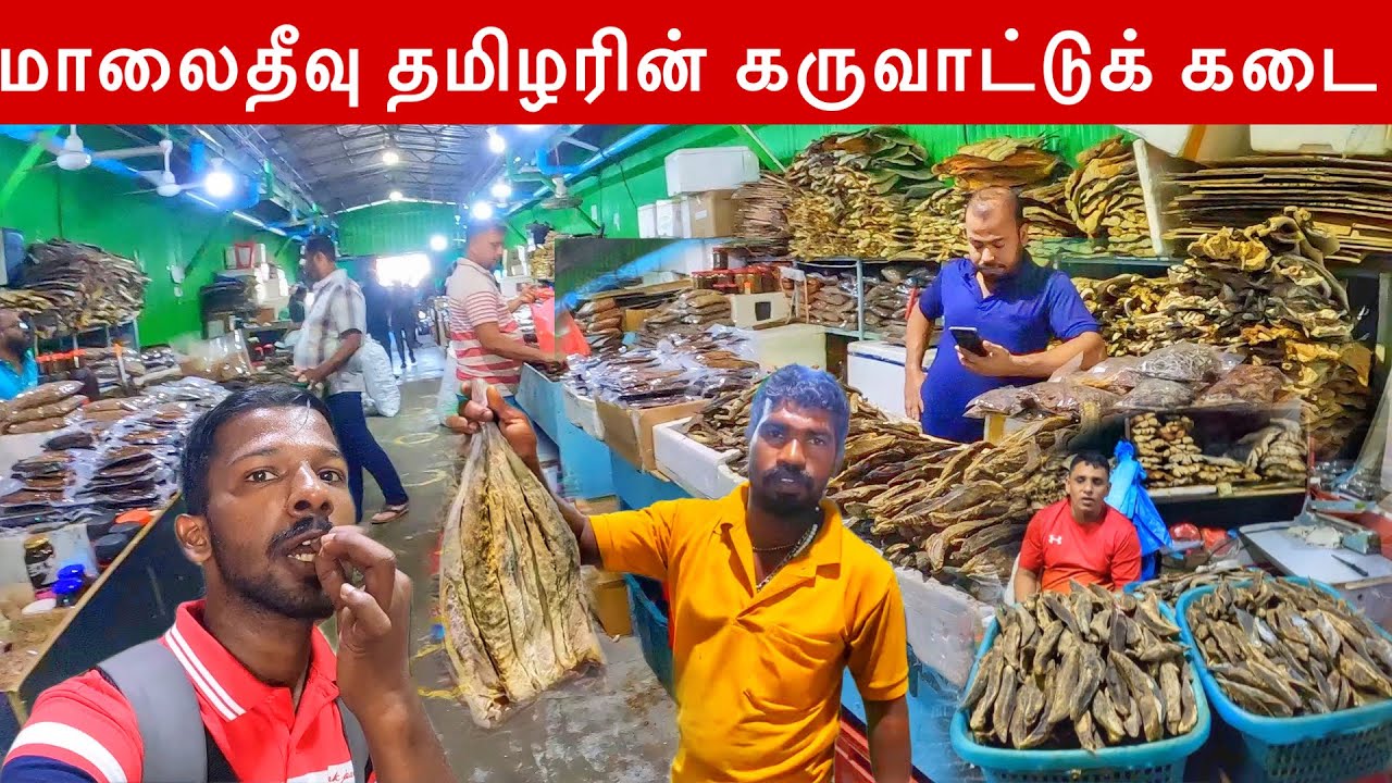 மாலைதீவில் இலங்கையின் மாசிக் கருவாடு | Maldives Dry Fish | Jaffna ...