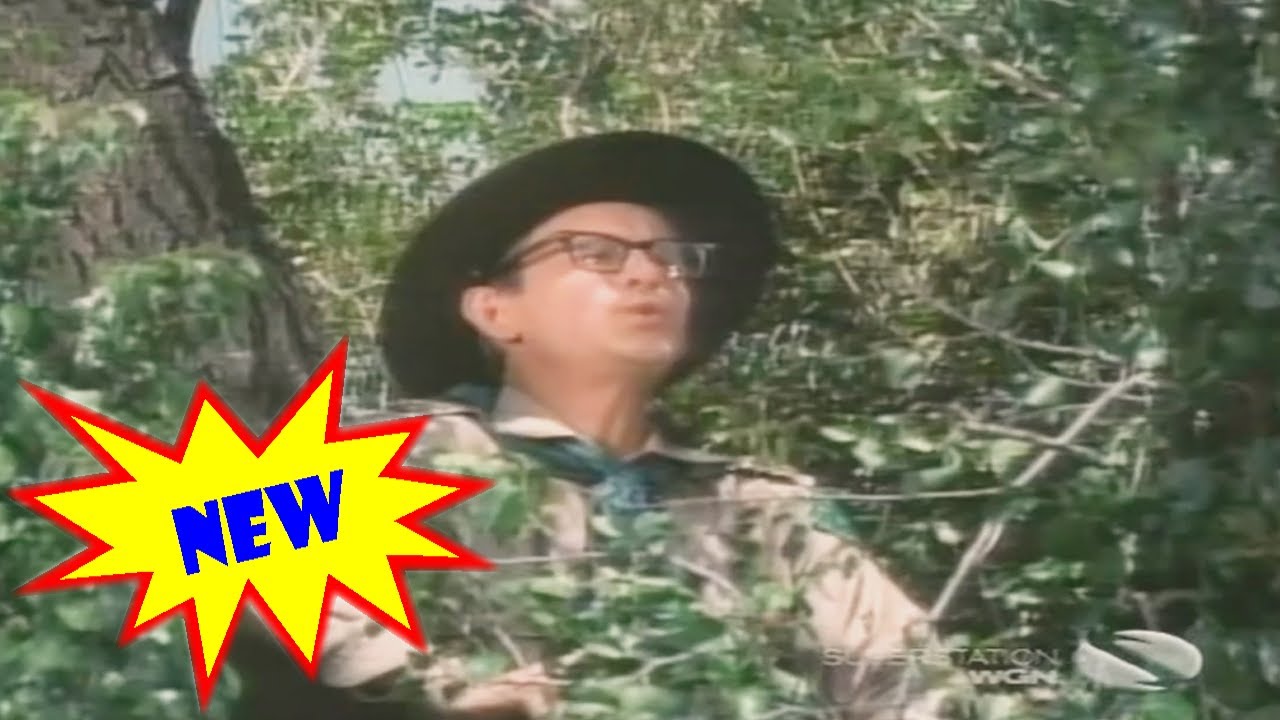 The Beverly Hillbillies Season 4 Full Episodes 🎁 Episode 31 + 32 🎁 ...