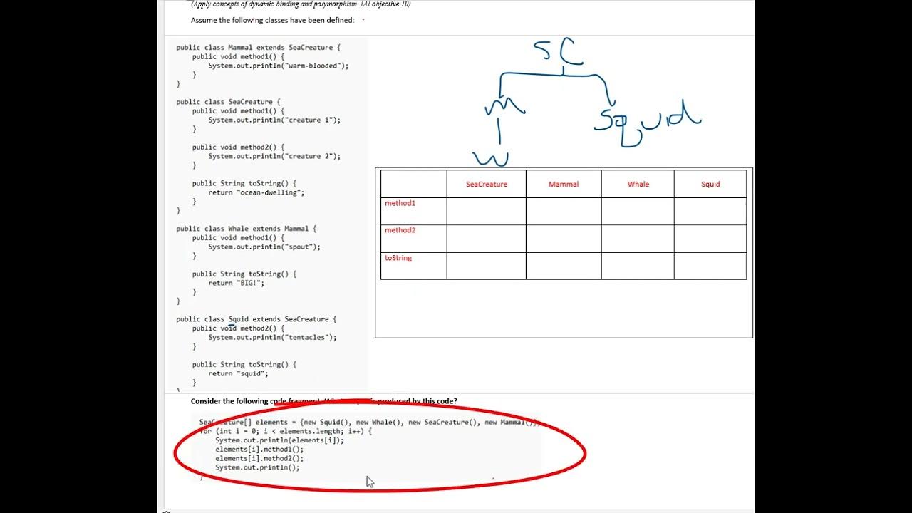 CS 225 Midterm Question 3 Polymorphism-Inheritance - YouTube