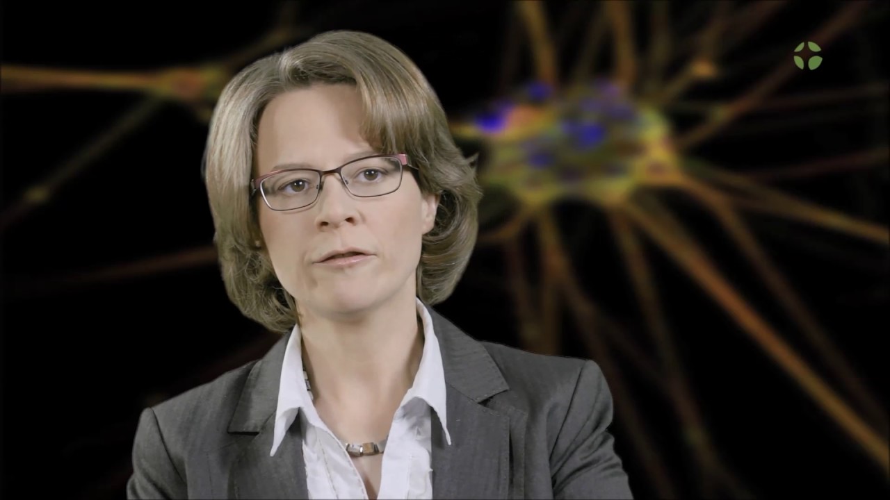 Stammzellen Prof. Angelika Lampert - YouTube