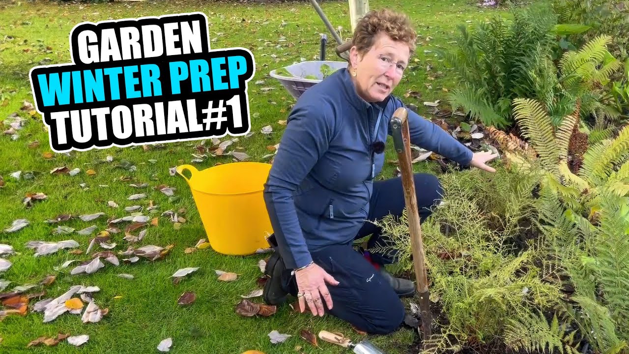 How To Move or Lift & Split Your Garden Perennials & Autumn Planting ...