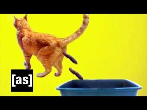 Matt H. Meets Timkat | Tim and Eric Awesome Show, Great Job! | Adult ...