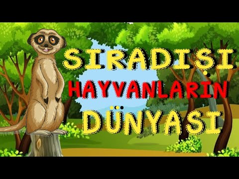 #siradışıhayvanlar Adını Dahi Duymadığınız. Hiç bilmediğimiz Sıradışı Hayvanlar Mirketler :)