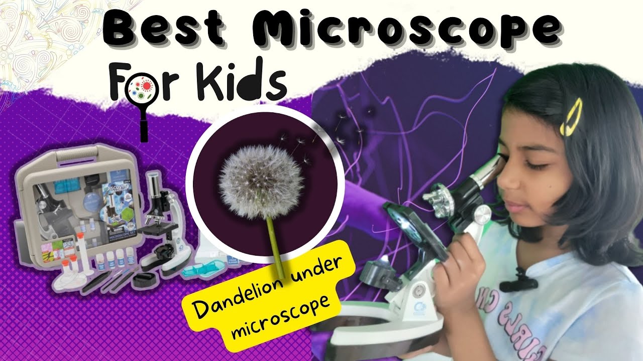 Microscopes | best kids microscope | parts of a microscope | Fun with ...