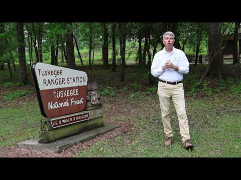 Tuskegee National Forest Bartram Trail