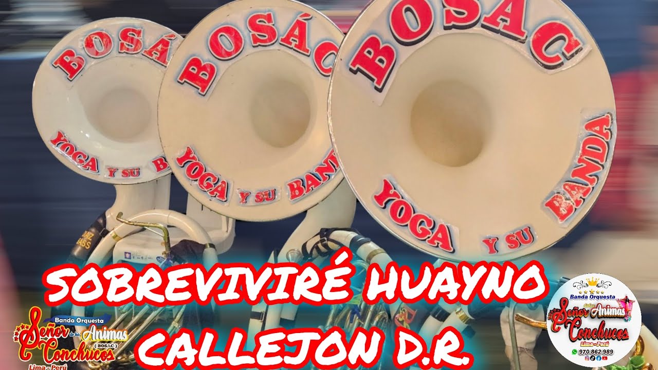 SOBREVIVIRÉ YARITA LIZETH- BANDA ORQUESTA SEÑOR DE LAS ÁNIMAS CONCHUCOS ...