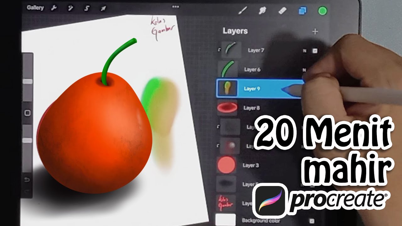 Panduan dasar Procreate untuk pemula bisa langsung mahir - YouTube