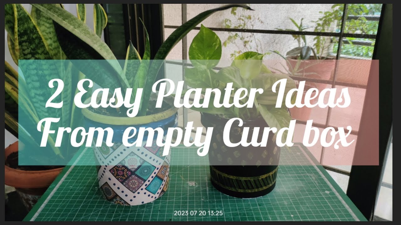 2 easy Planter Ideas | Empty Curd box DIY | Planter idea from waste box ...
