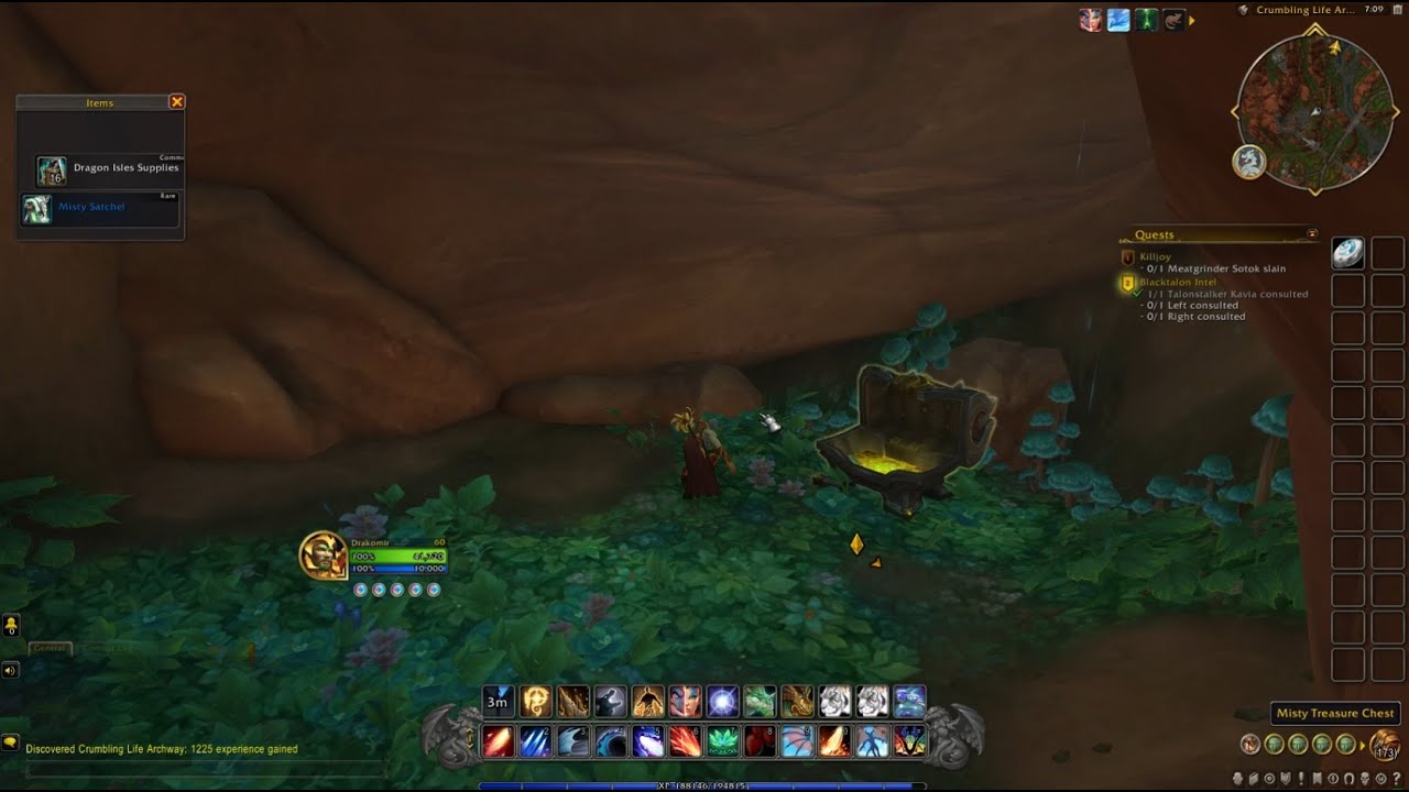 Free 34 slot bag in the Dragon Isles - YouTube