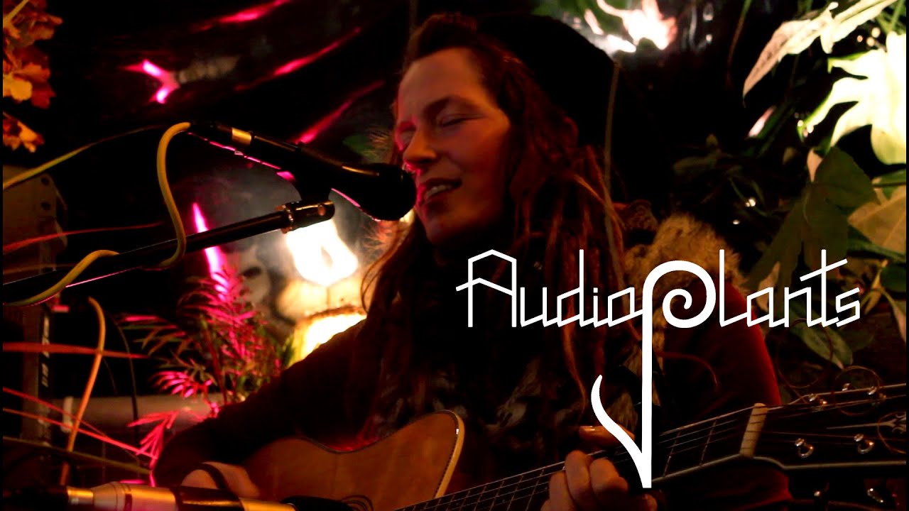 Robyn Wallis Johnson - Thunk / Johnny | AudioPlants Sessions - YouTube