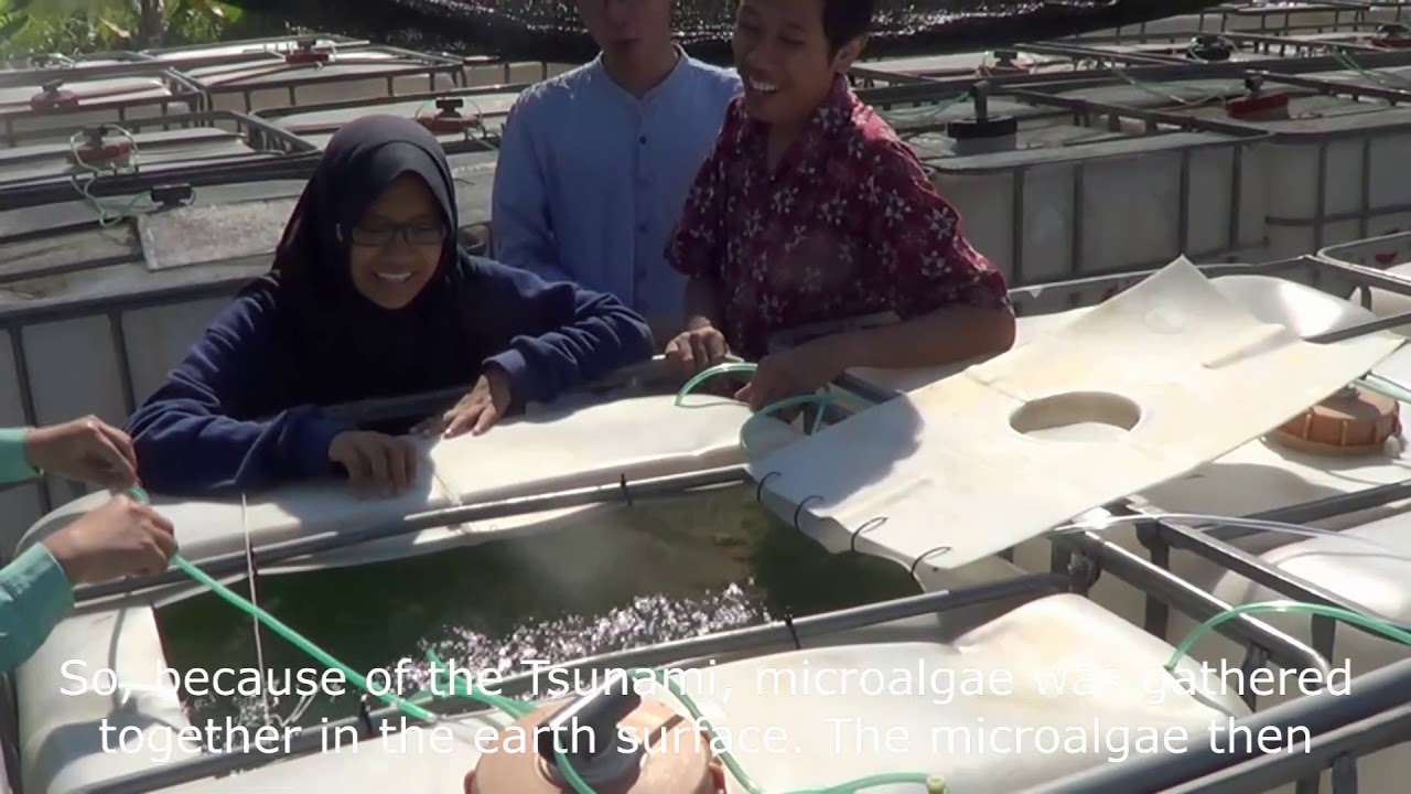 Algae Park - YouTube
