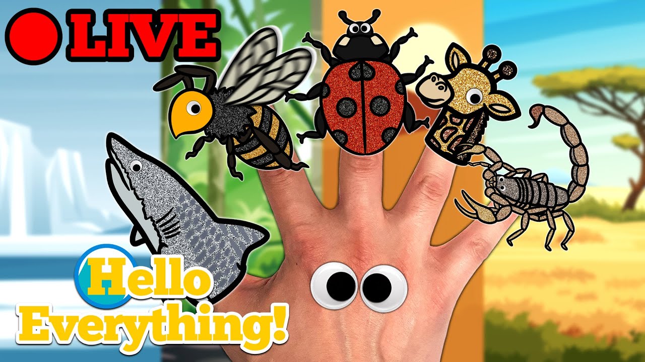 🔴 Hello Everything! 👀 Live Stream | Finger Family Nursery Rhymes ...