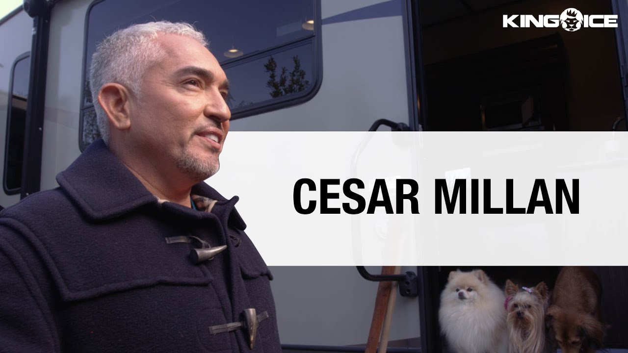 Cesar Millan Talks Love, Trust, and Respect - YouTube