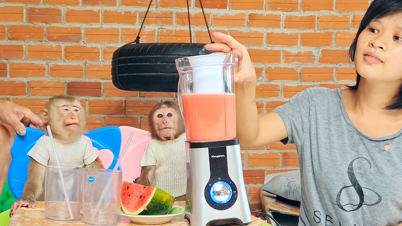 Miss Vui squeezes Sam boy & Asher's favorite watermelon juice - YouTube