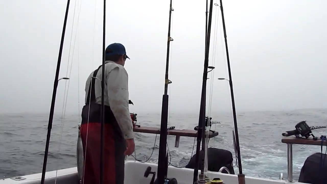 SOUTH AFRICA FISHING FOR CAPE SNOOK & BREAM. PART16 - YouTube
