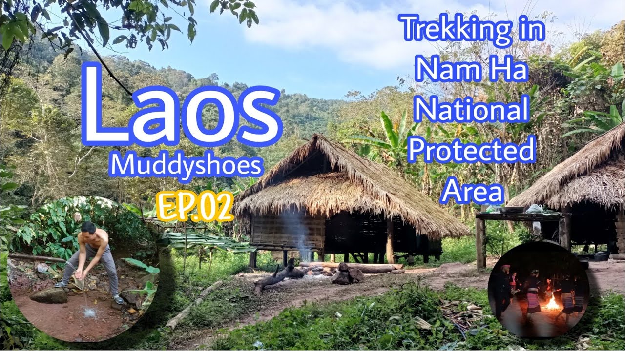 Incredible rainforest trekking to Nam ha National Protected Area in ...