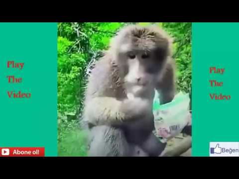 Tayfun Yılmaz - En yeniler En komikler