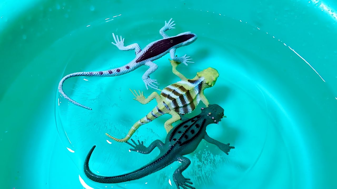 What It's Like To Have a Pet 3 Headed Lizards in the ice - YouTube