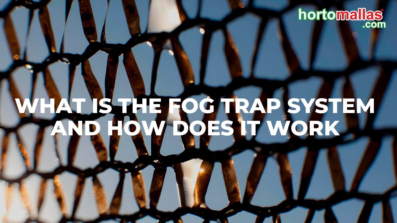 What is the fog trap system and how does it work - YouTube